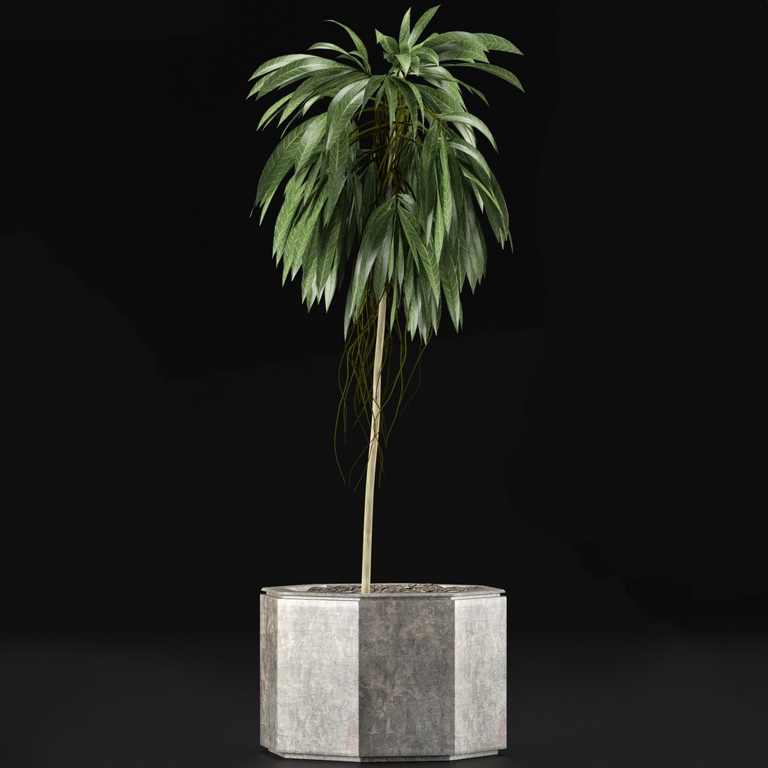 Single Plant 01 3D Model - TurboSquid 1586376
