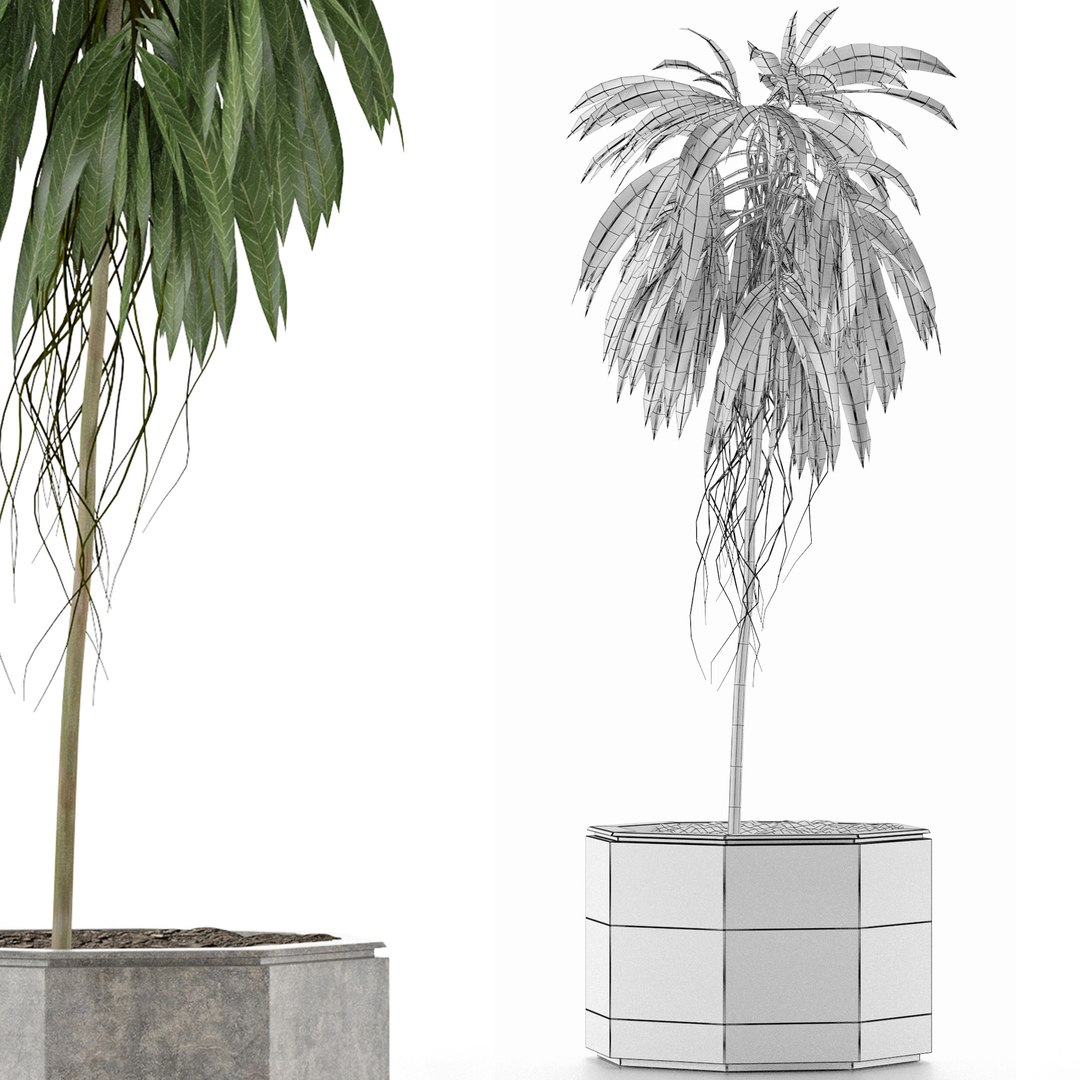 Single Plant 01 3D Model - TurboSquid 1586376