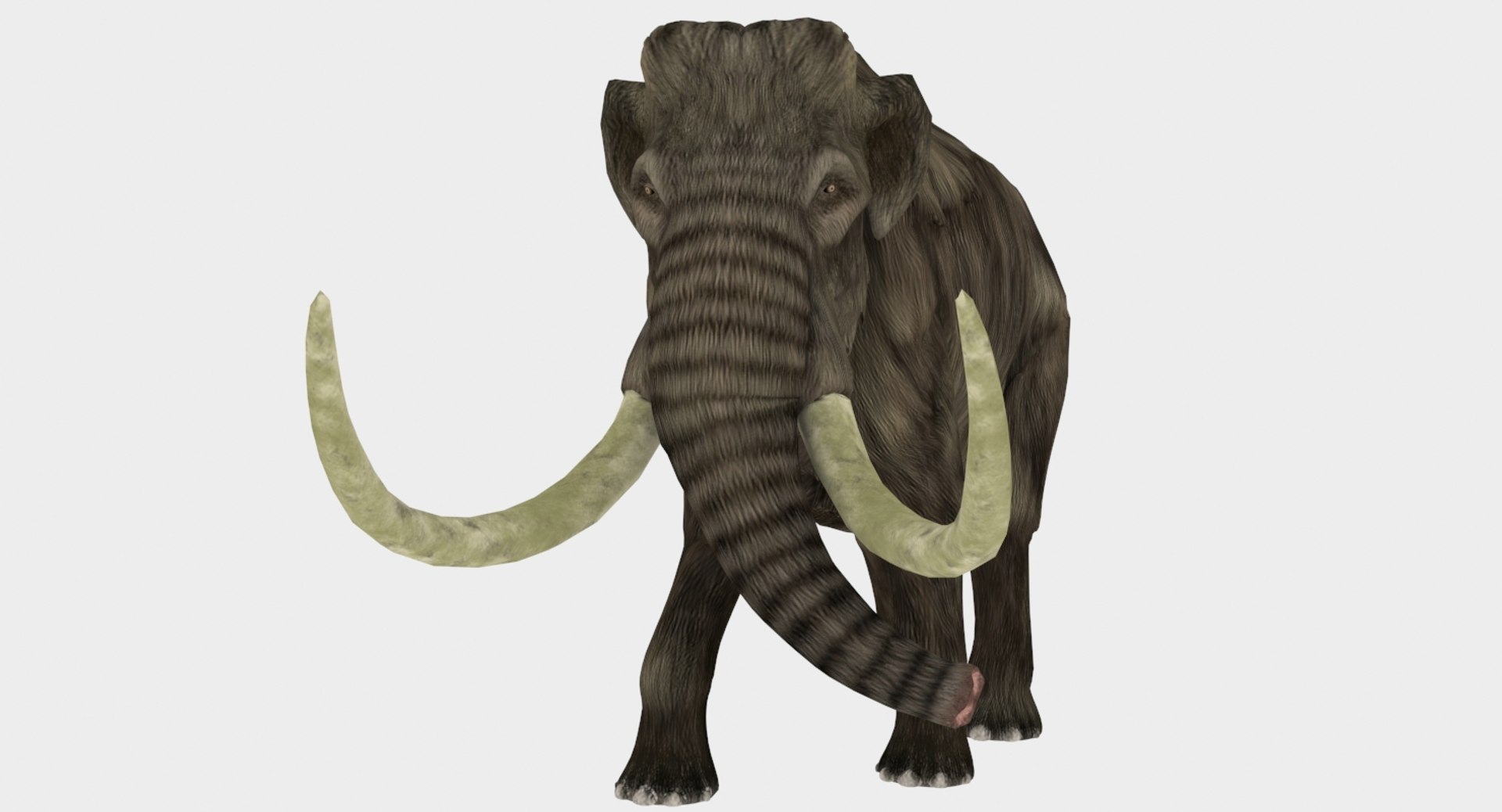 Mammoth 3d Model