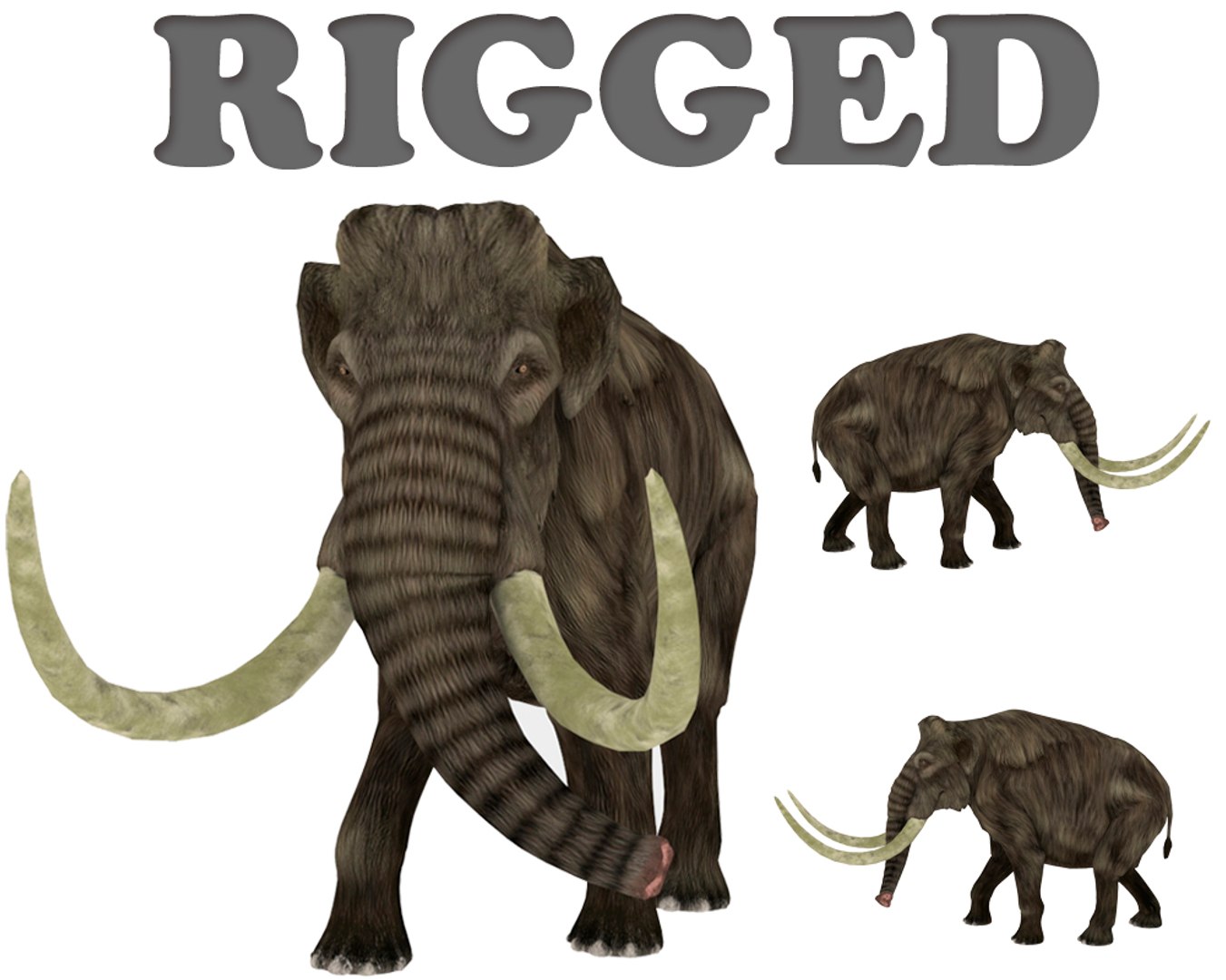 Mammoth 3d Model