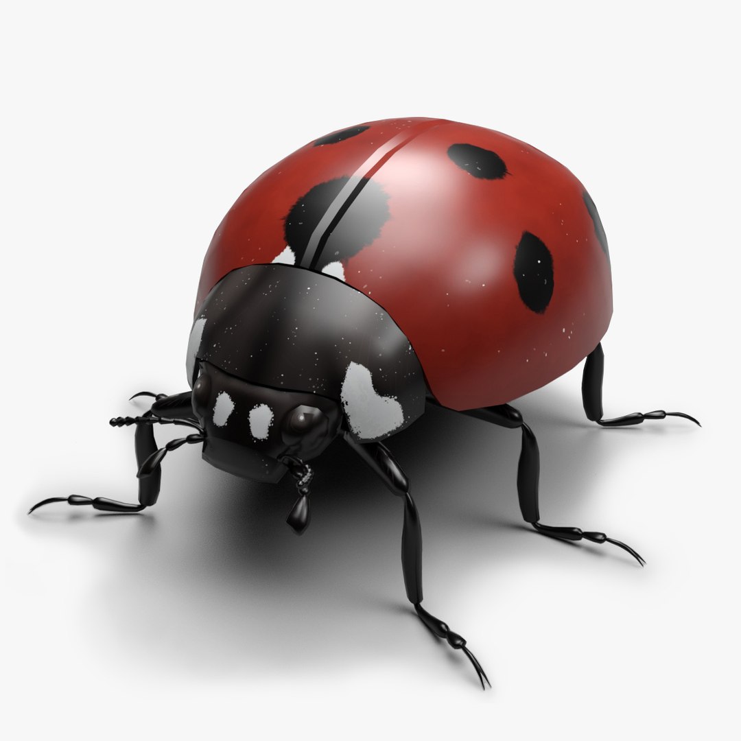 Ladybird 3D - TurboSquid 1775633