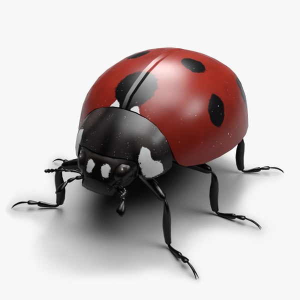 Ladybird 3D - TurboSquid 1775633