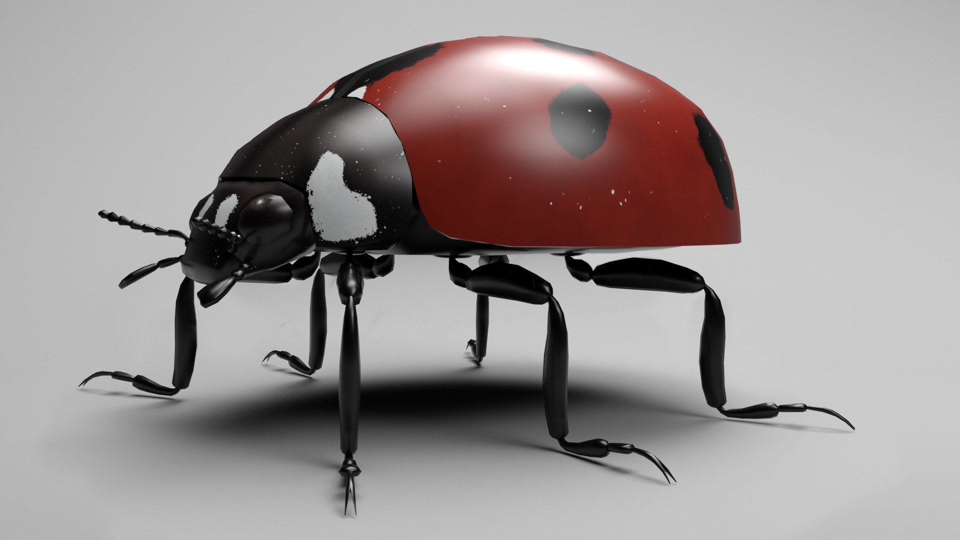 Ladybird 3D - TurboSquid 1775633