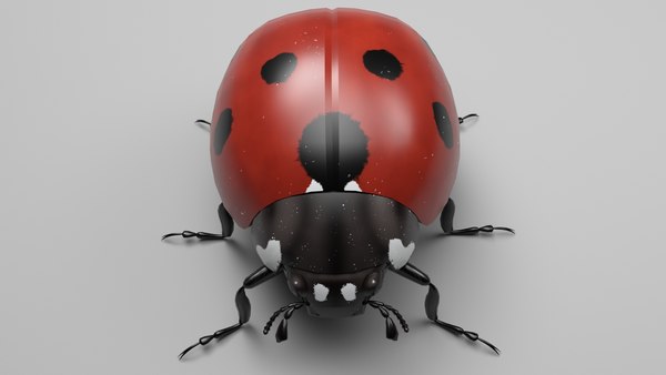 Ladybird 3D - TurboSquid 1775633