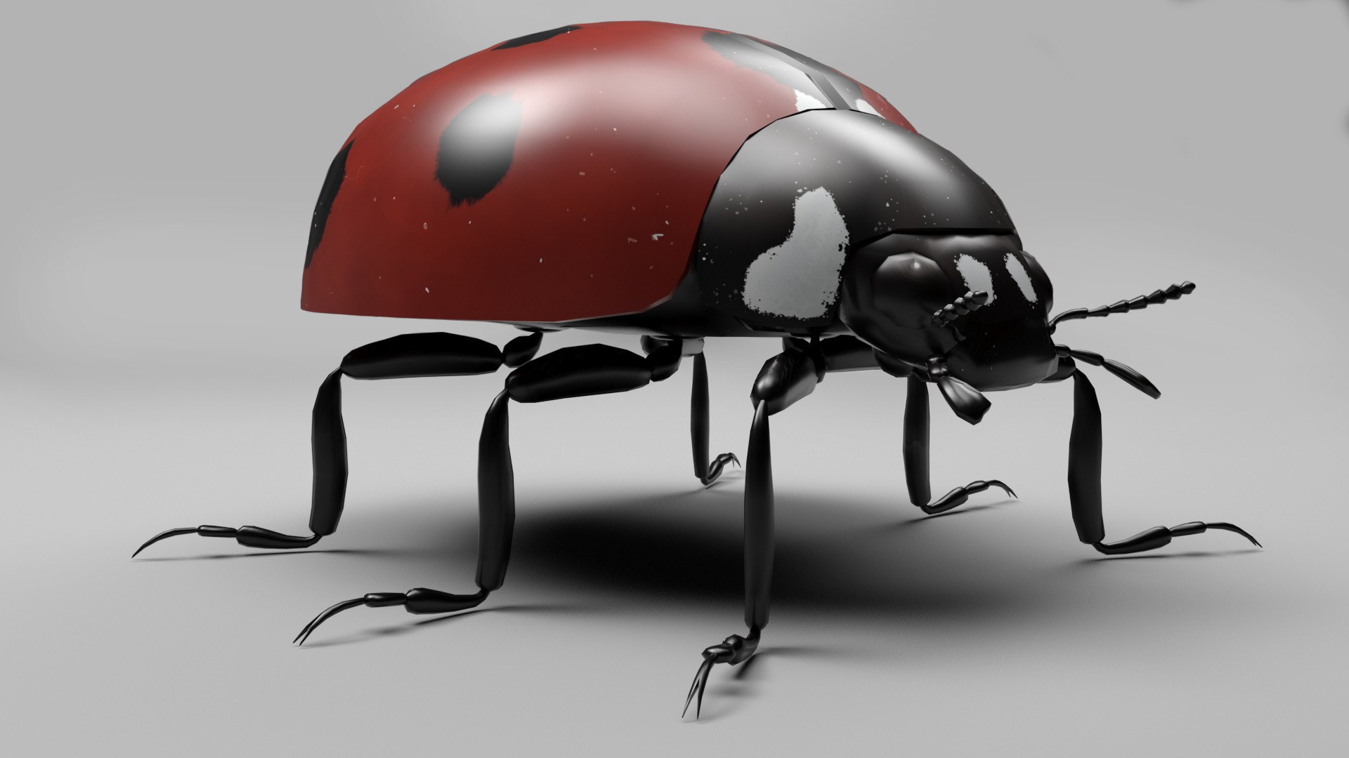 Ladybird 3D - TurboSquid 1775633