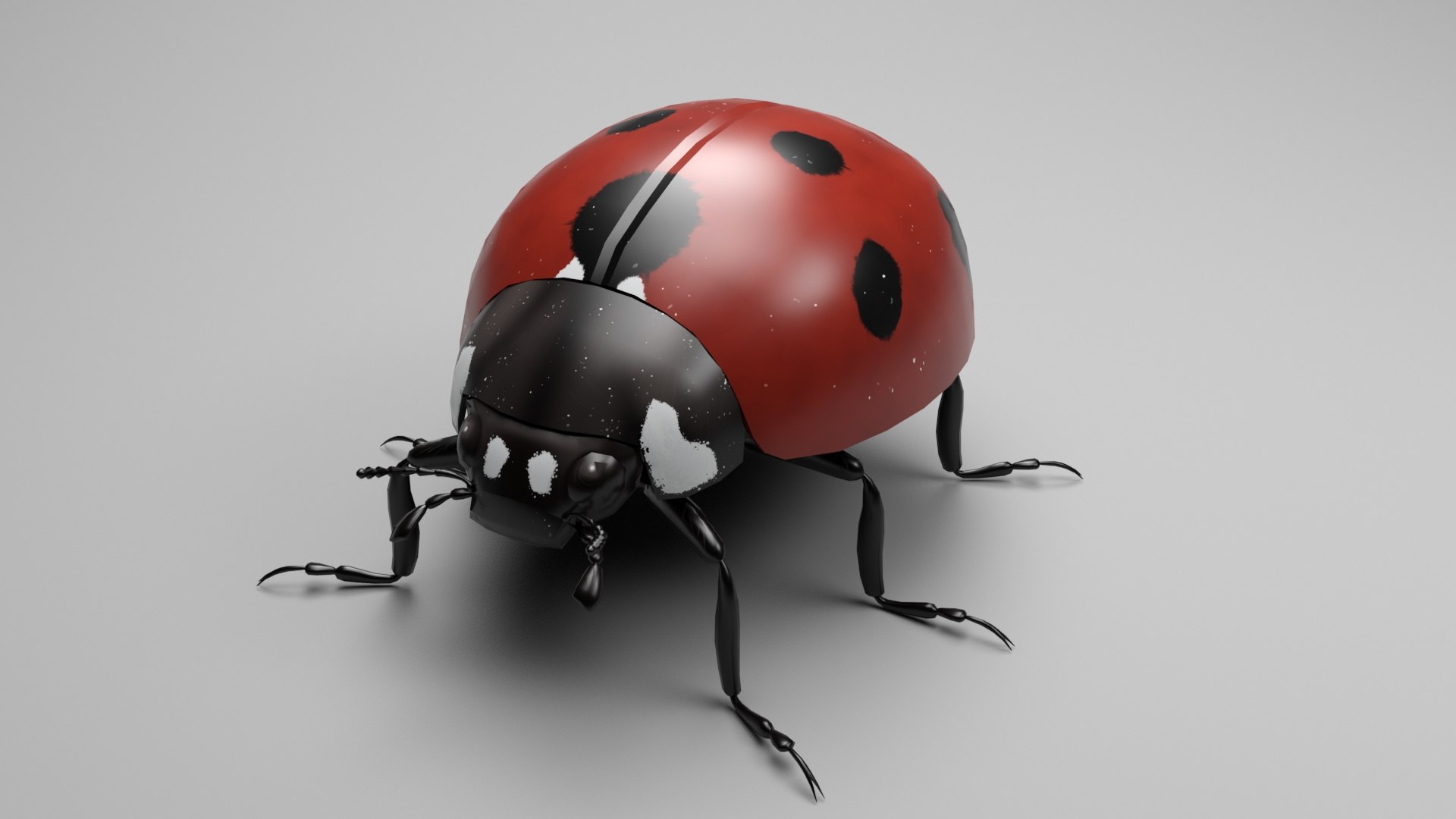 Ladybird 3D - TurboSquid 1775633