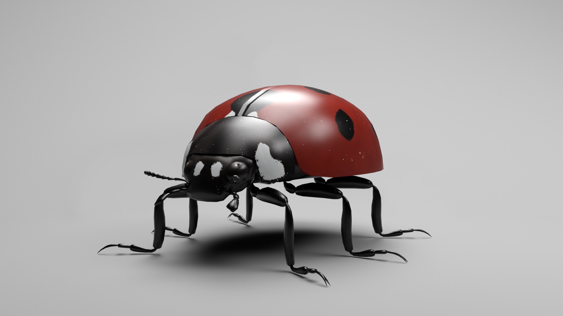 Ladybird 3D - TurboSquid 1775633
