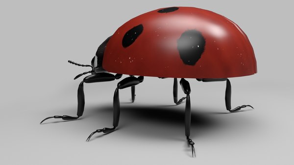 Ladybird 3D - TurboSquid 1775633