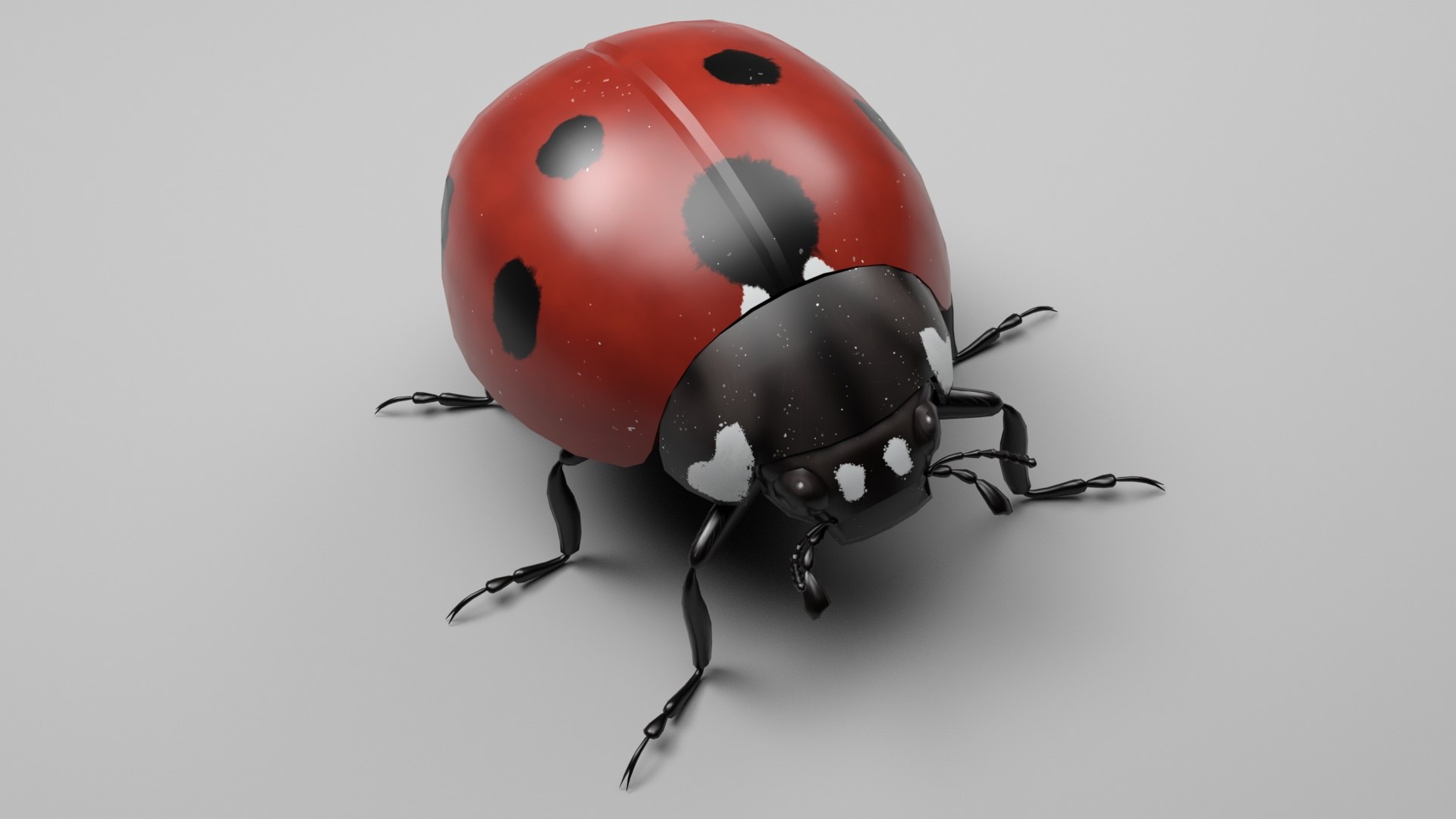 Ladybird 3D - TurboSquid 1775633
