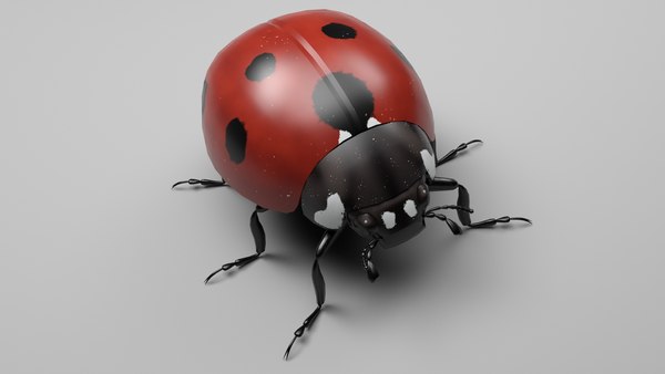Ladybird 3D - TurboSquid 1775633