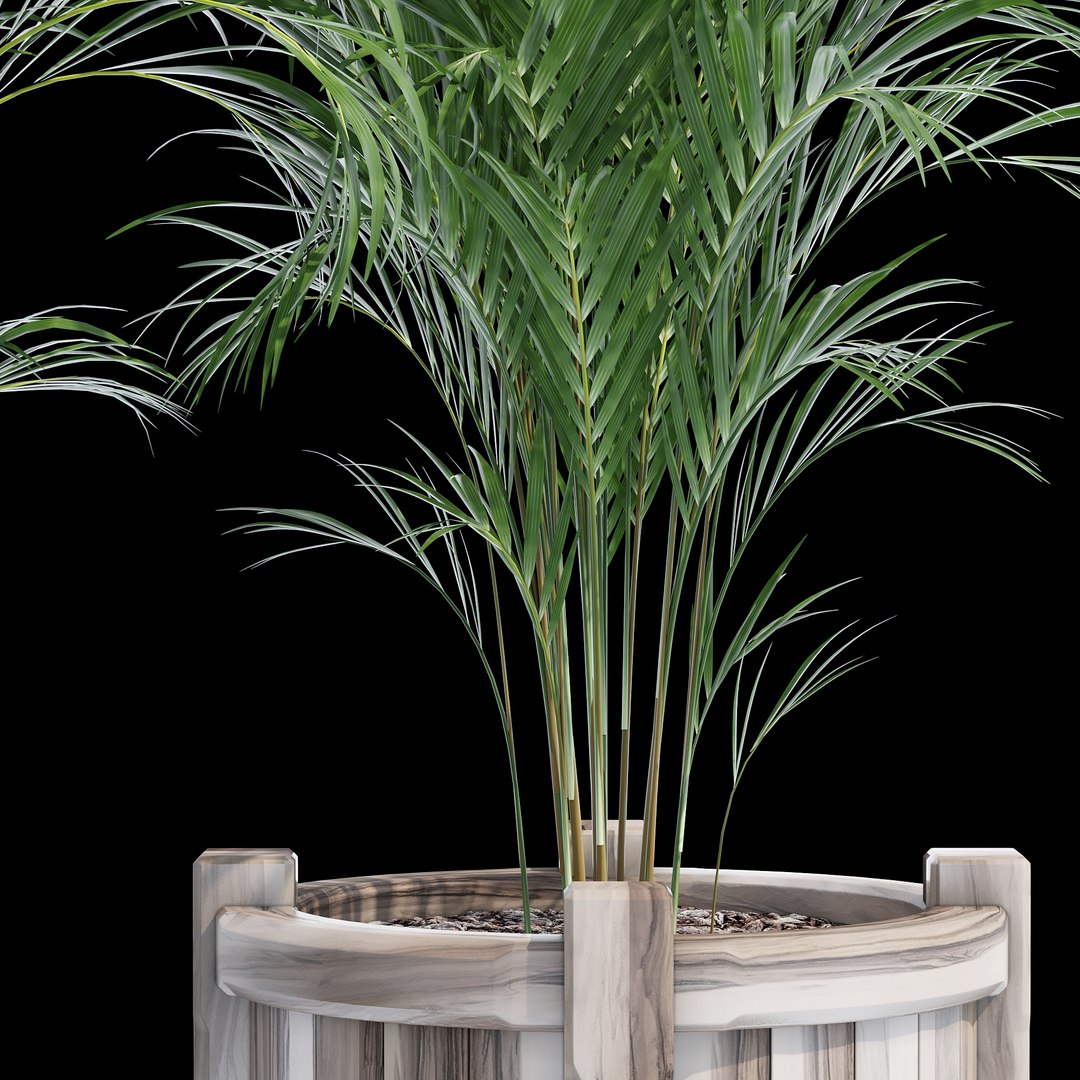 3D Rowlinson two model - TurboSquid 1930171