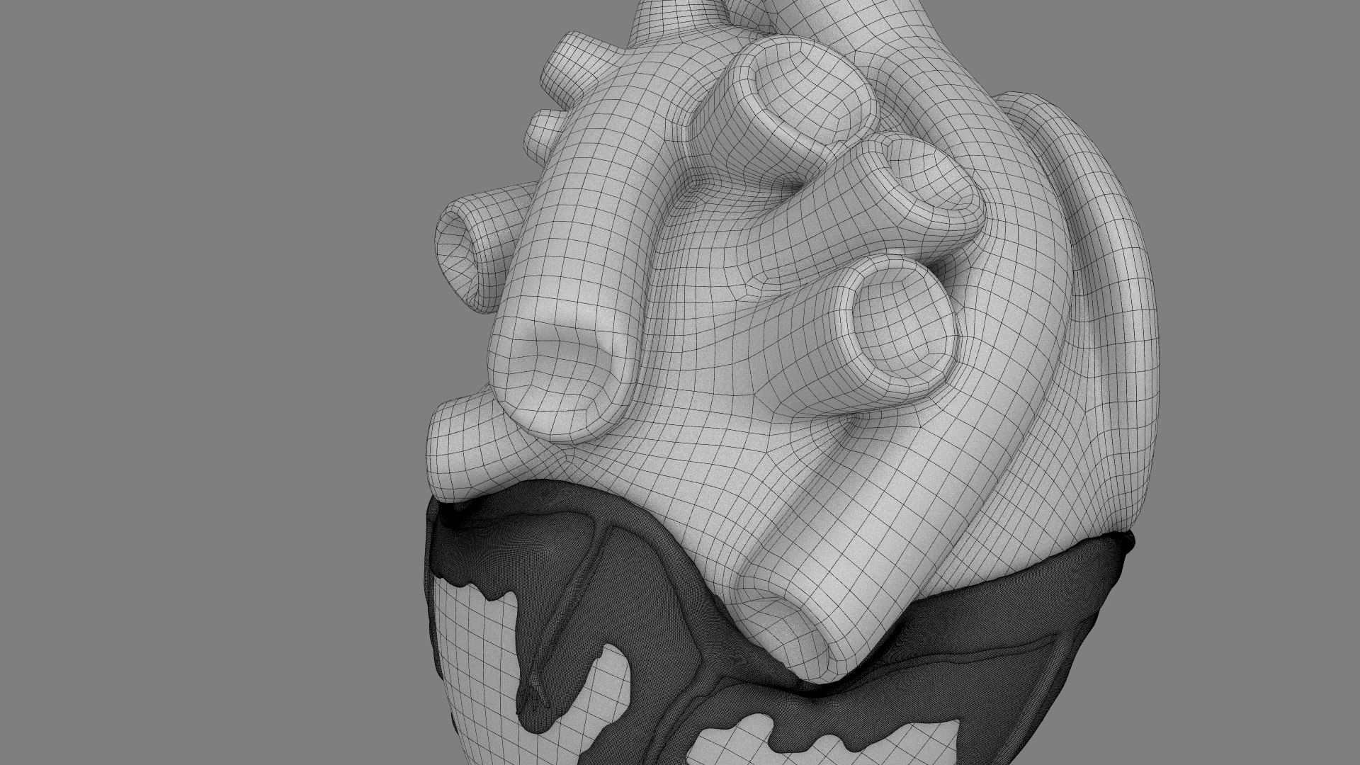 Anatomical Heart Model Model - TurboSquid 1763398