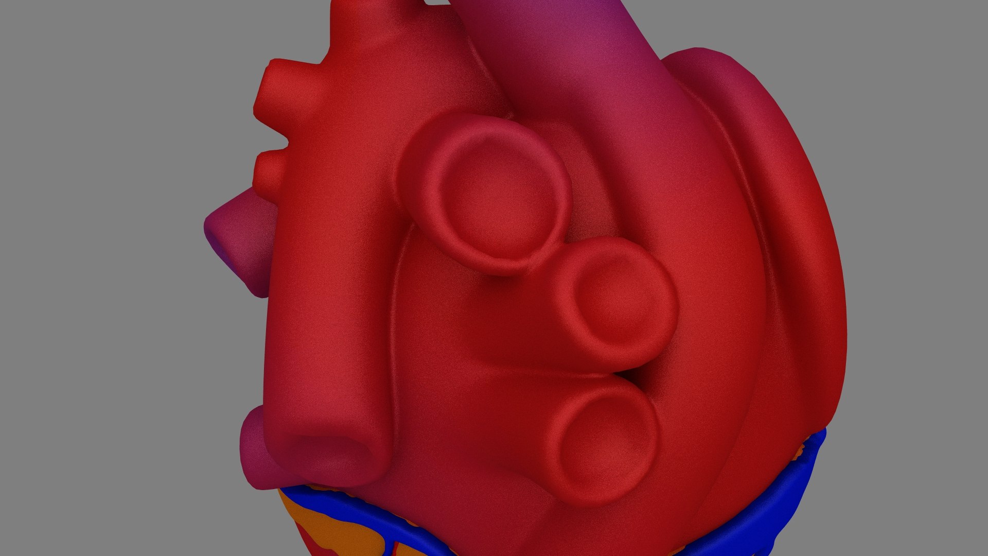 Anatomical Heart Model Model - TurboSquid 1763398