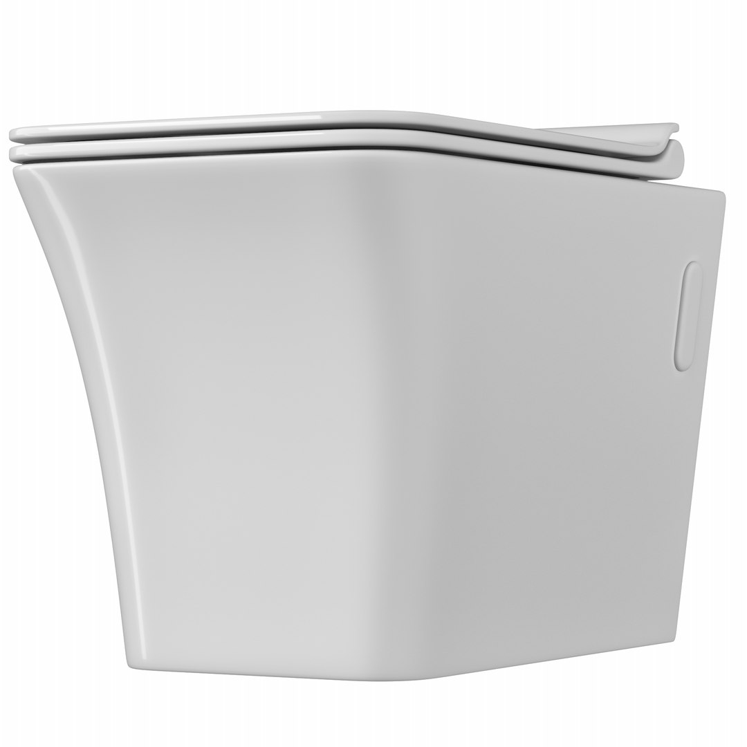 Wall Hung Water Closet Model - TurboSquid 1694536