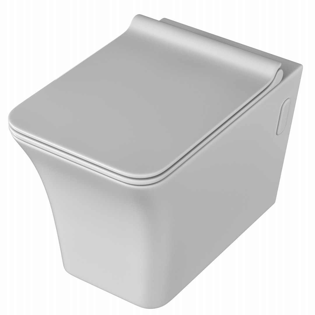 Wall Hung Water Closet Model - TurboSquid 1694536