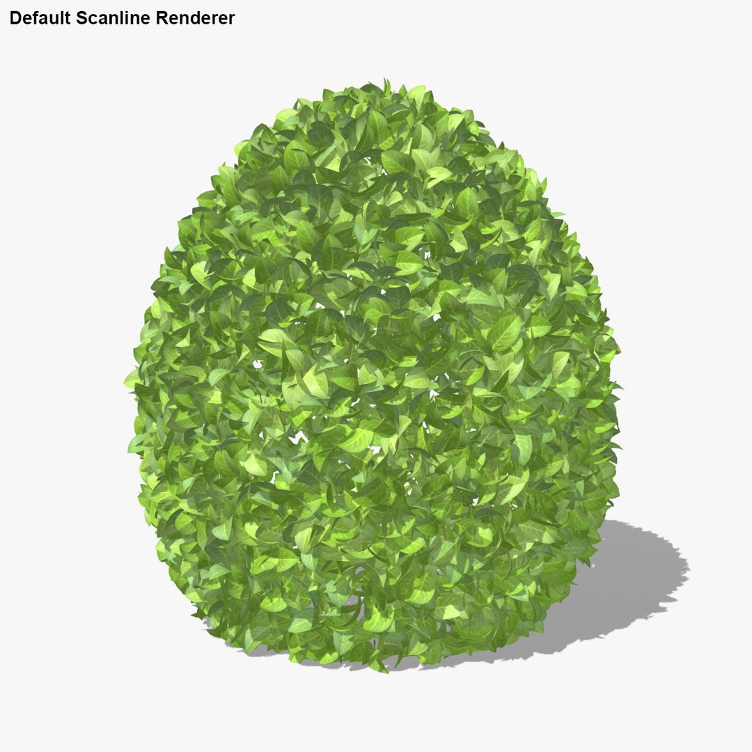 Realistic Hedge 02 3d Max