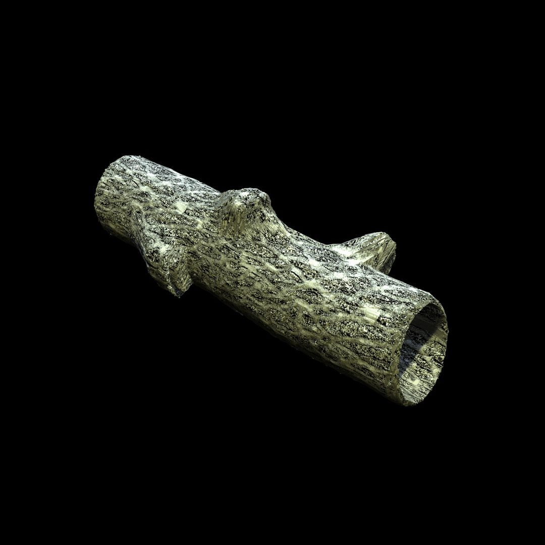 Small Hollow Old Tree 3d Model