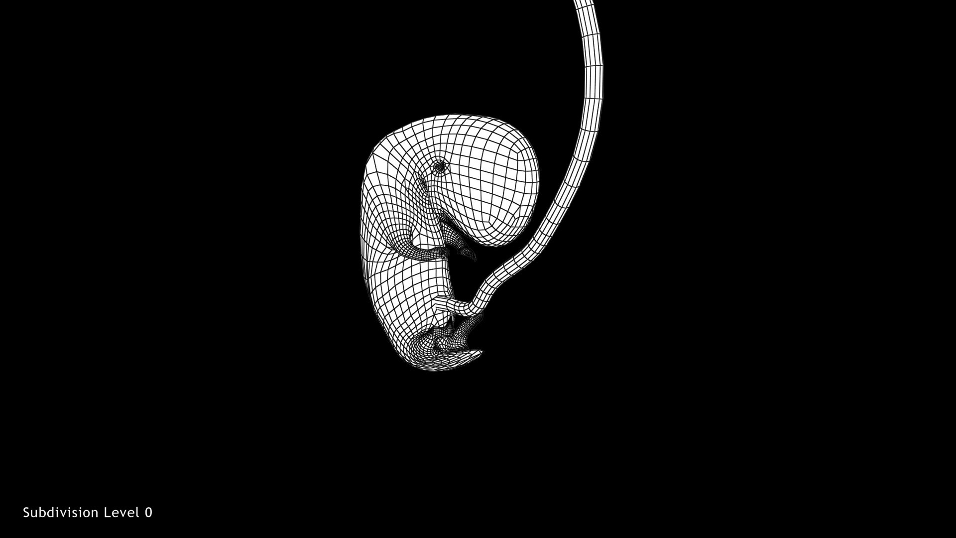 7 Weeks Human Fetus Model - TurboSquid 2036590