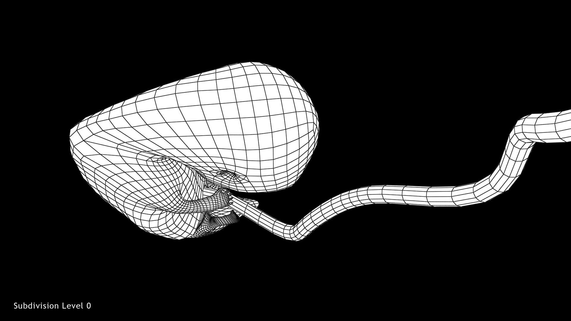 7 Weeks Human Fetus Model - TurboSquid 2036590