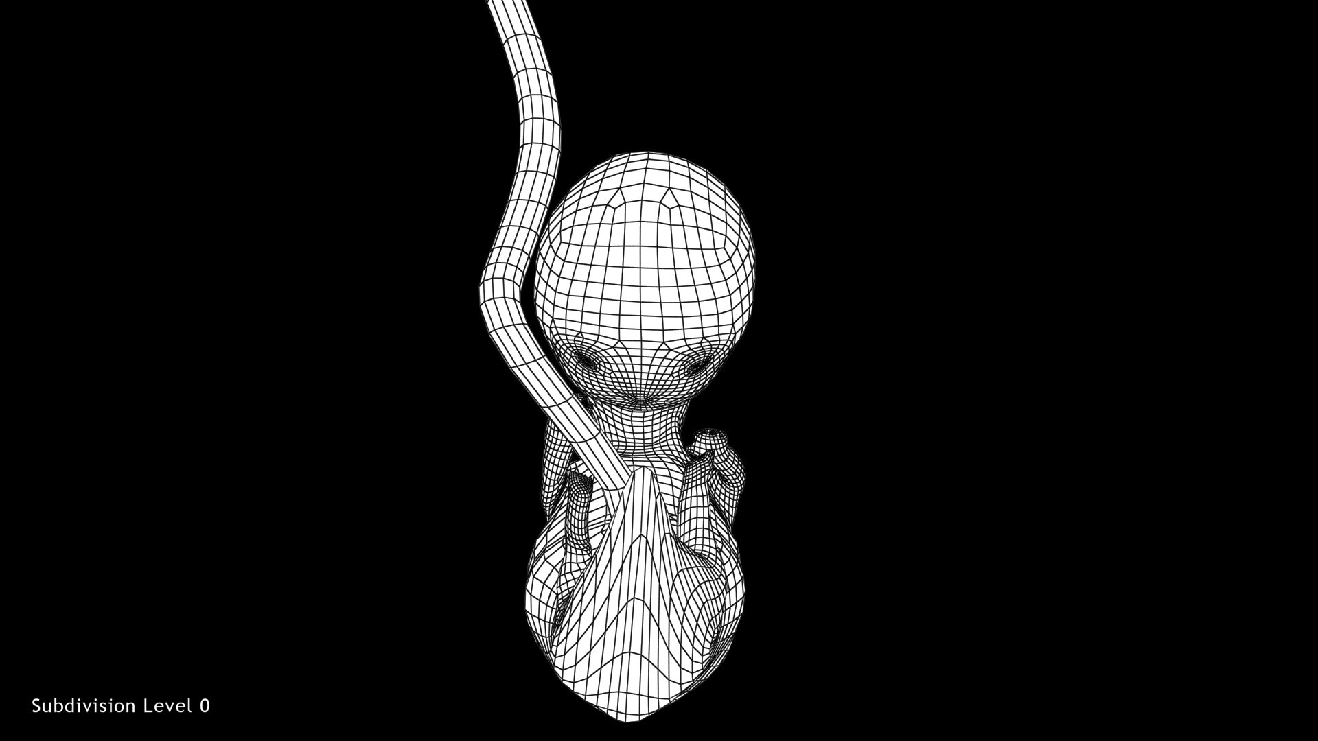 7 Weeks Human Fetus Model - TurboSquid 2036590