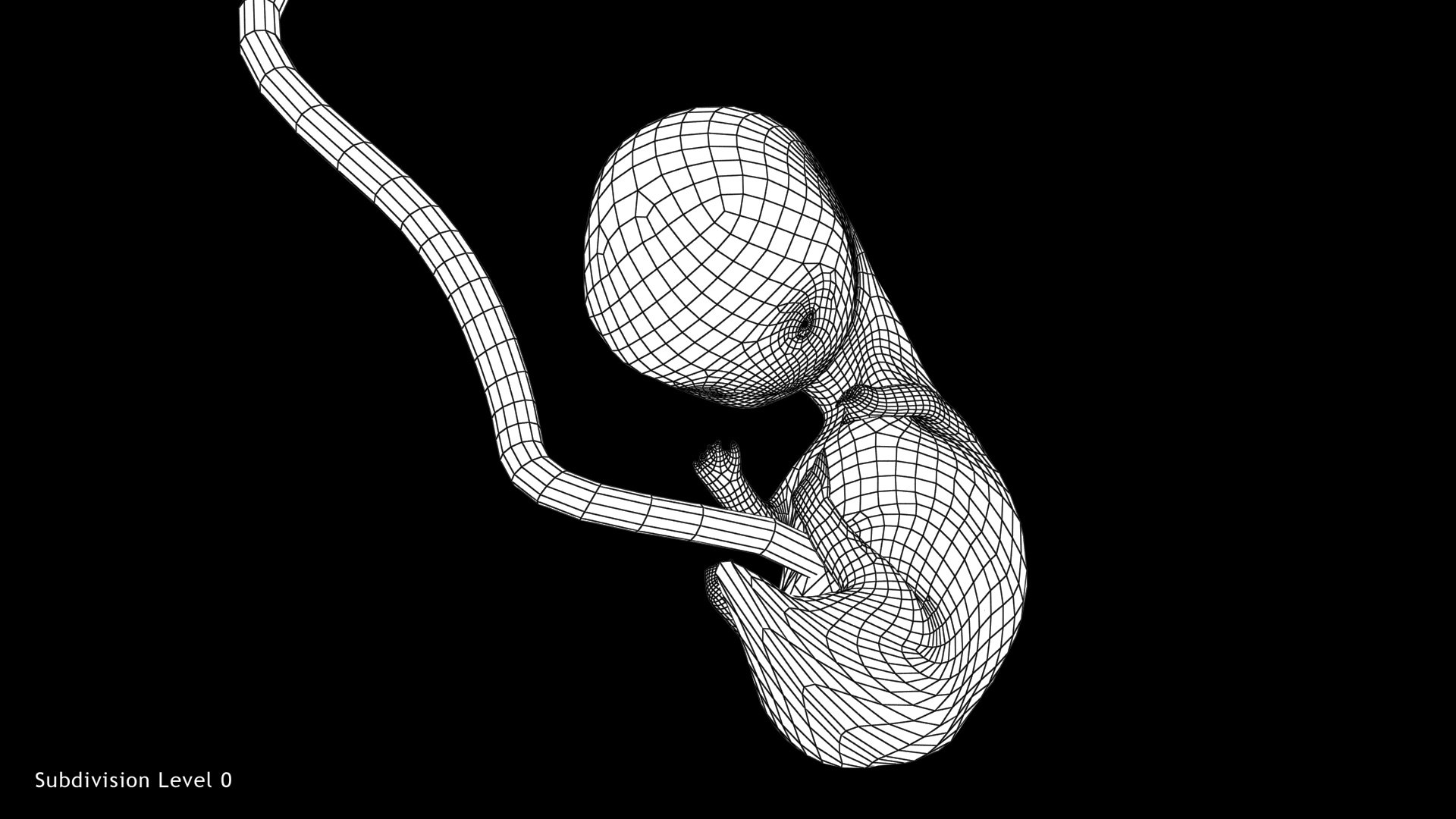 7 Weeks Human Fetus Model - TurboSquid 2036590