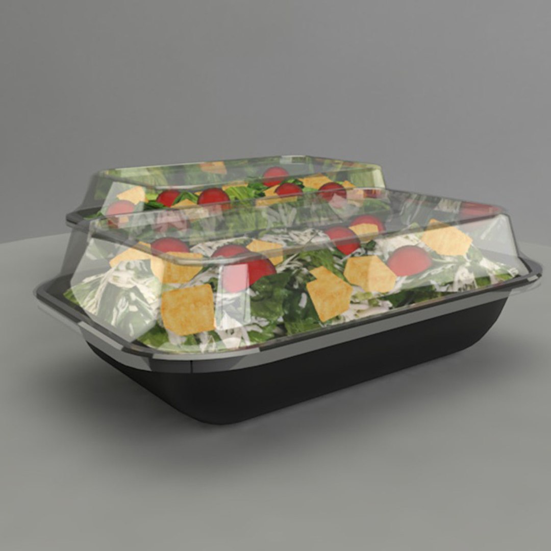3d Salad Model