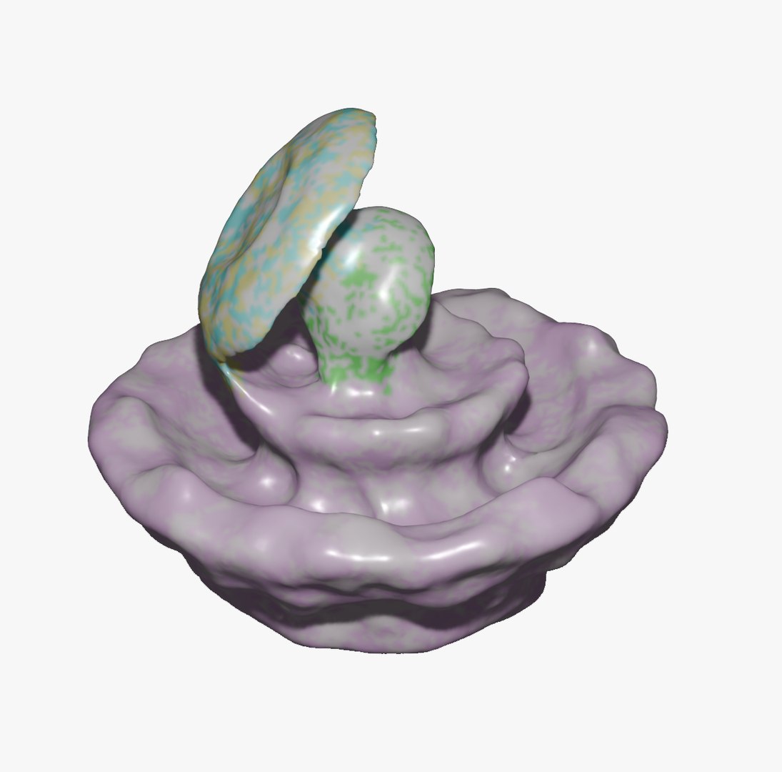 3D Mushroom Model - TurboSquid 2259095