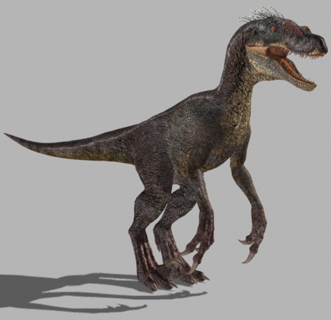 jurassic park raptor ultimate 3d model