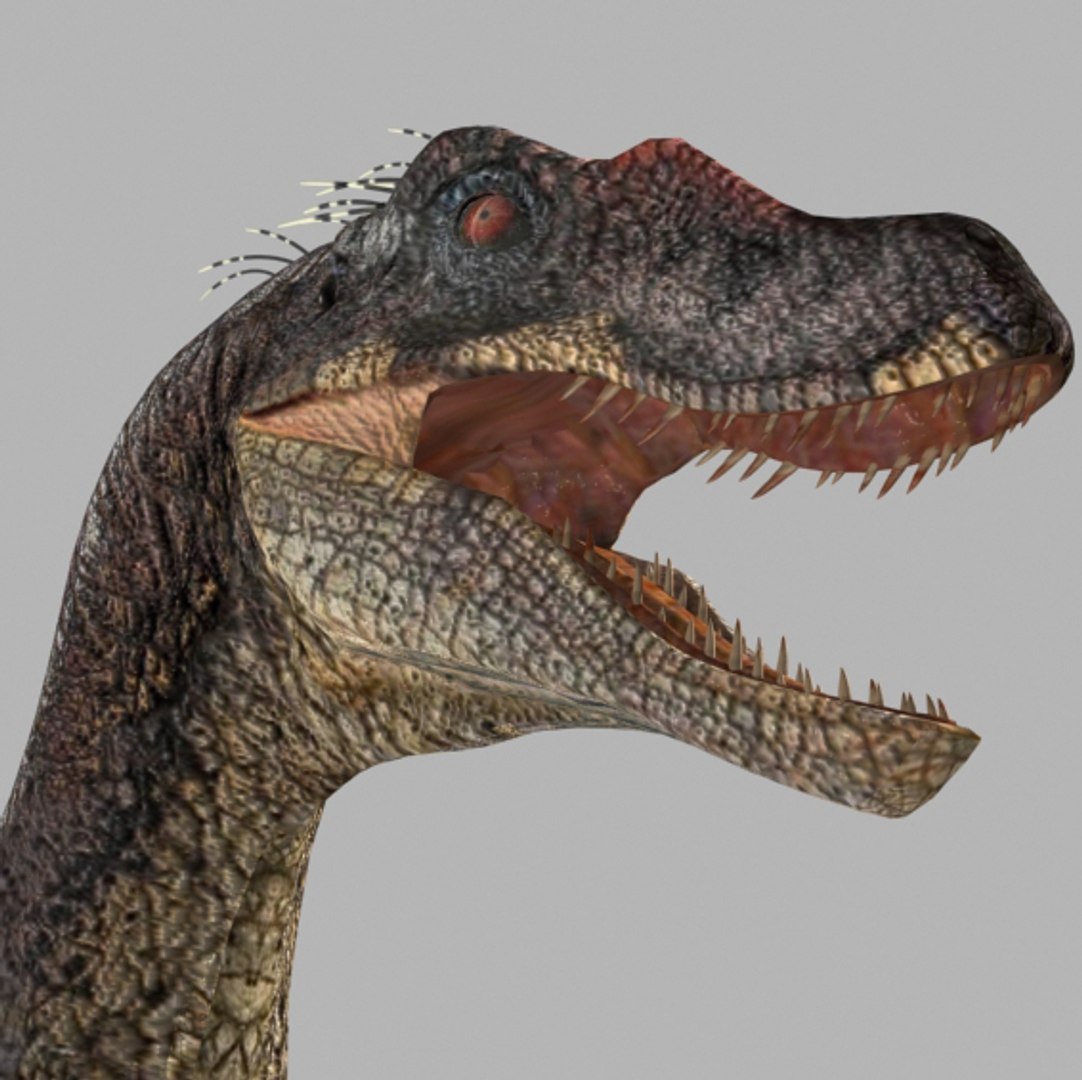 jurassic park raptor ultimate 3d model