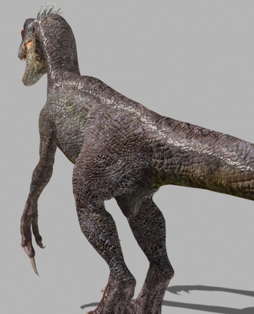 jurassic park raptor ultimate 3d model