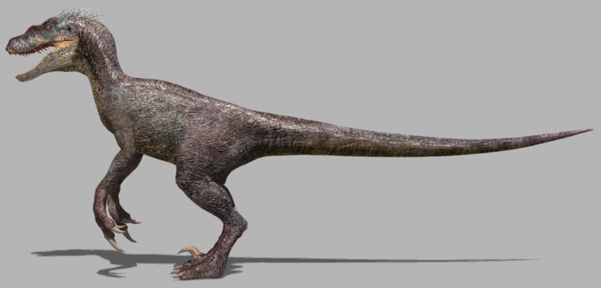 jurassic park raptor ultimate 3d model