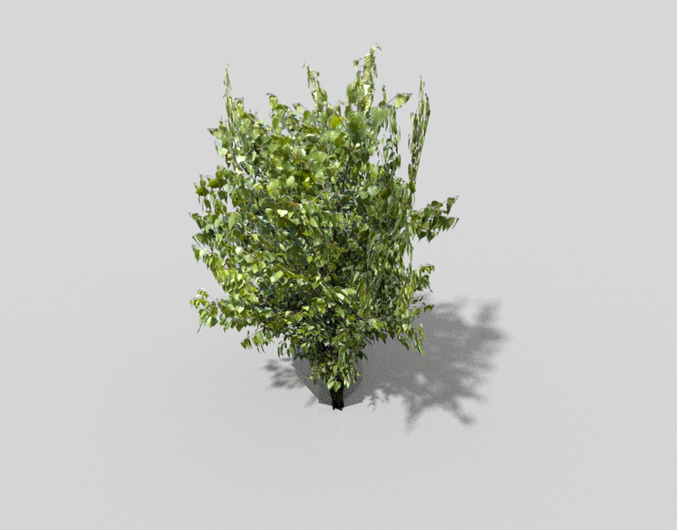 games tree 3d model
