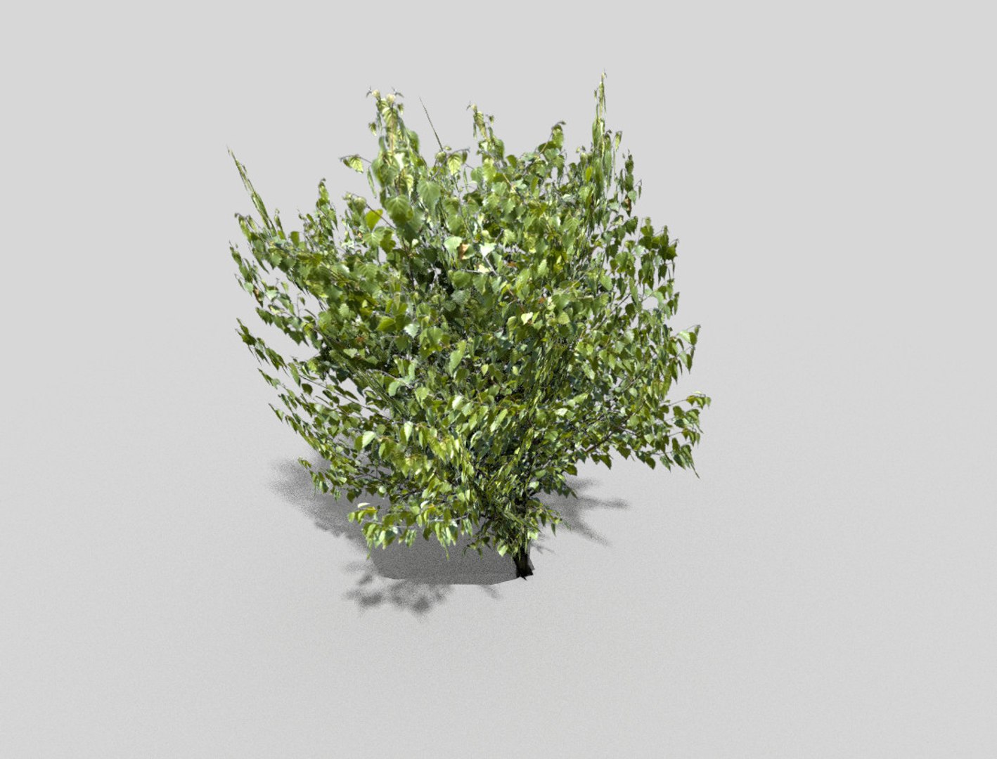 games tree 3d model