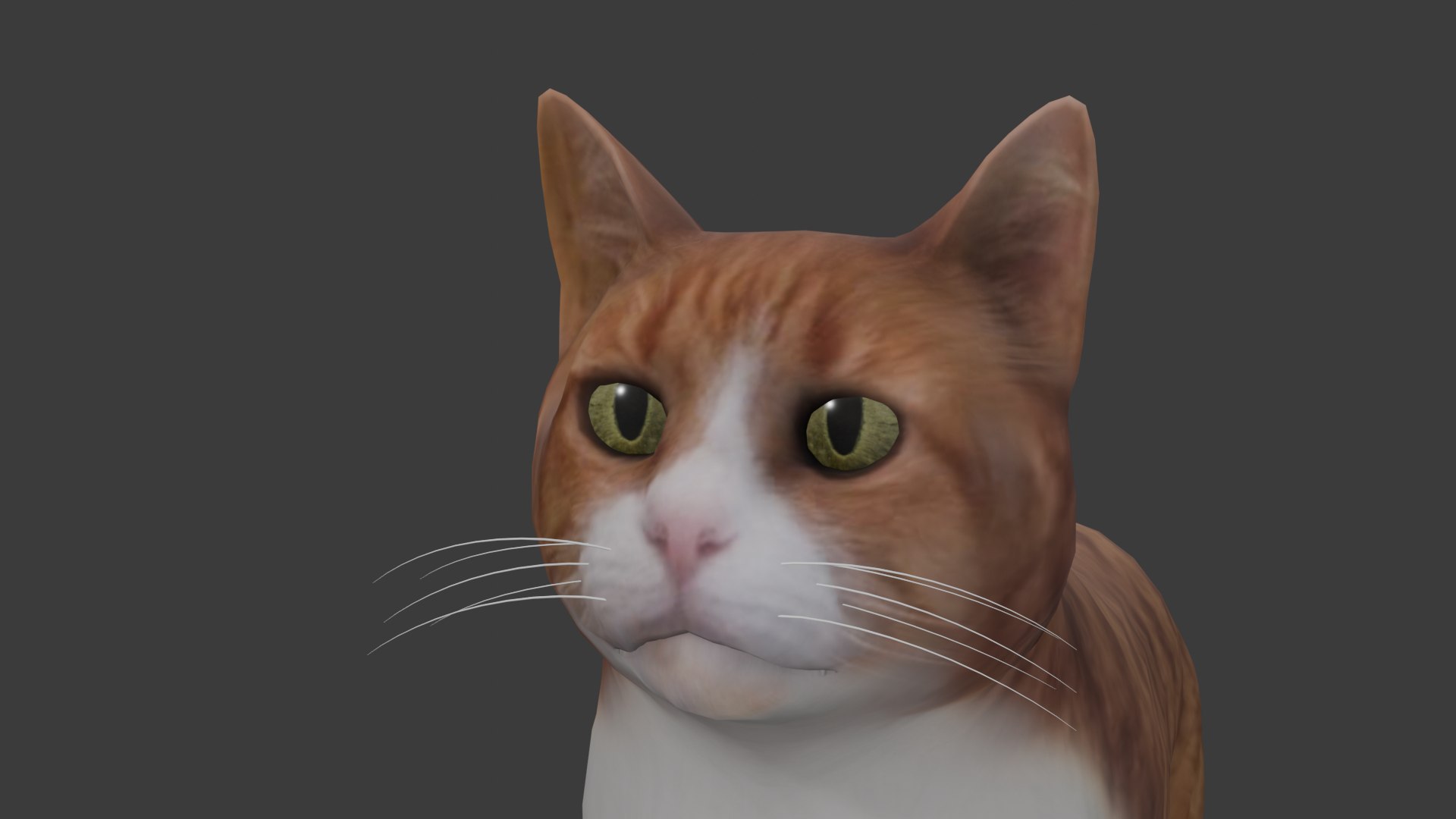 3D Cat Model - TurboSquid 2340448