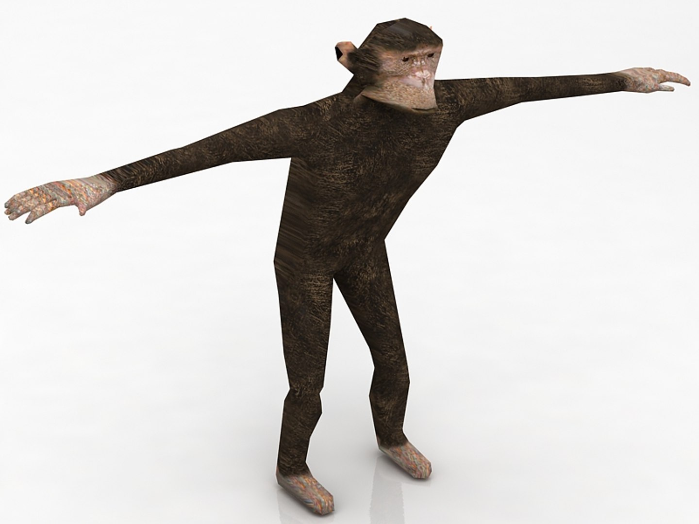 Chimp 3D model - TurboSquid 1773457