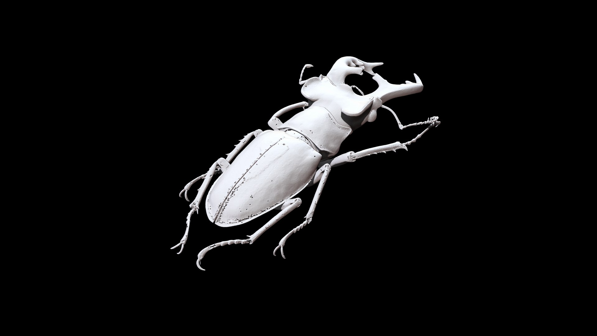 Stag Beetle 01 CT Scan 3D Model - TurboSquid 1744054