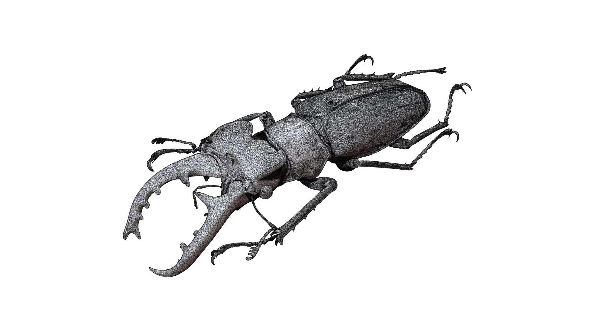 Stag Beetle 01 CT Scan 3D Model - TurboSquid 1744054