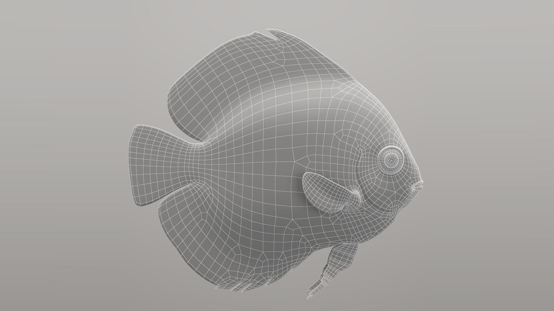 Discus fish model - TurboSquid 1740649