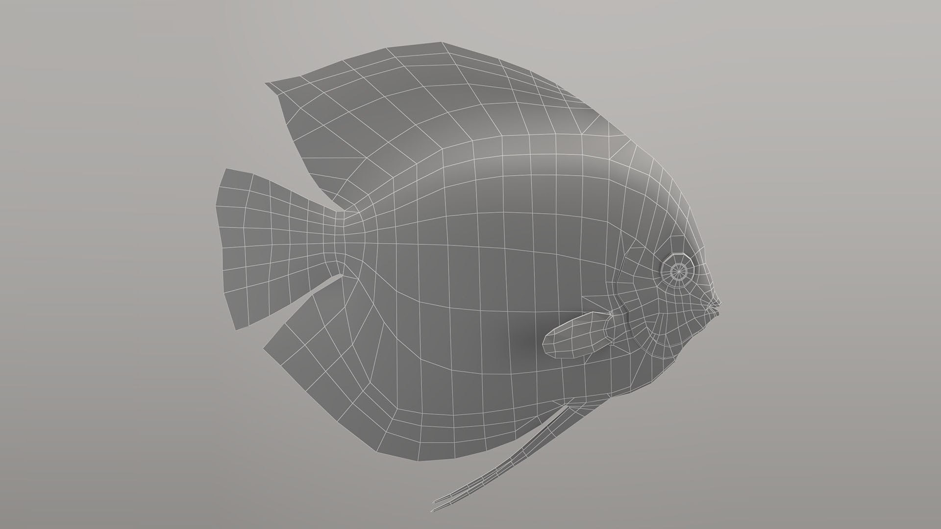 Discus fish model - TurboSquid 1740649