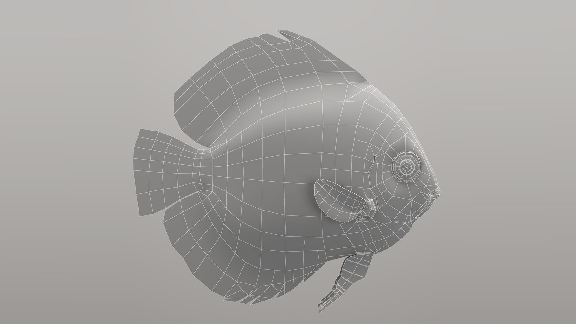 Discus Fish Model - TurboSquid 1740649