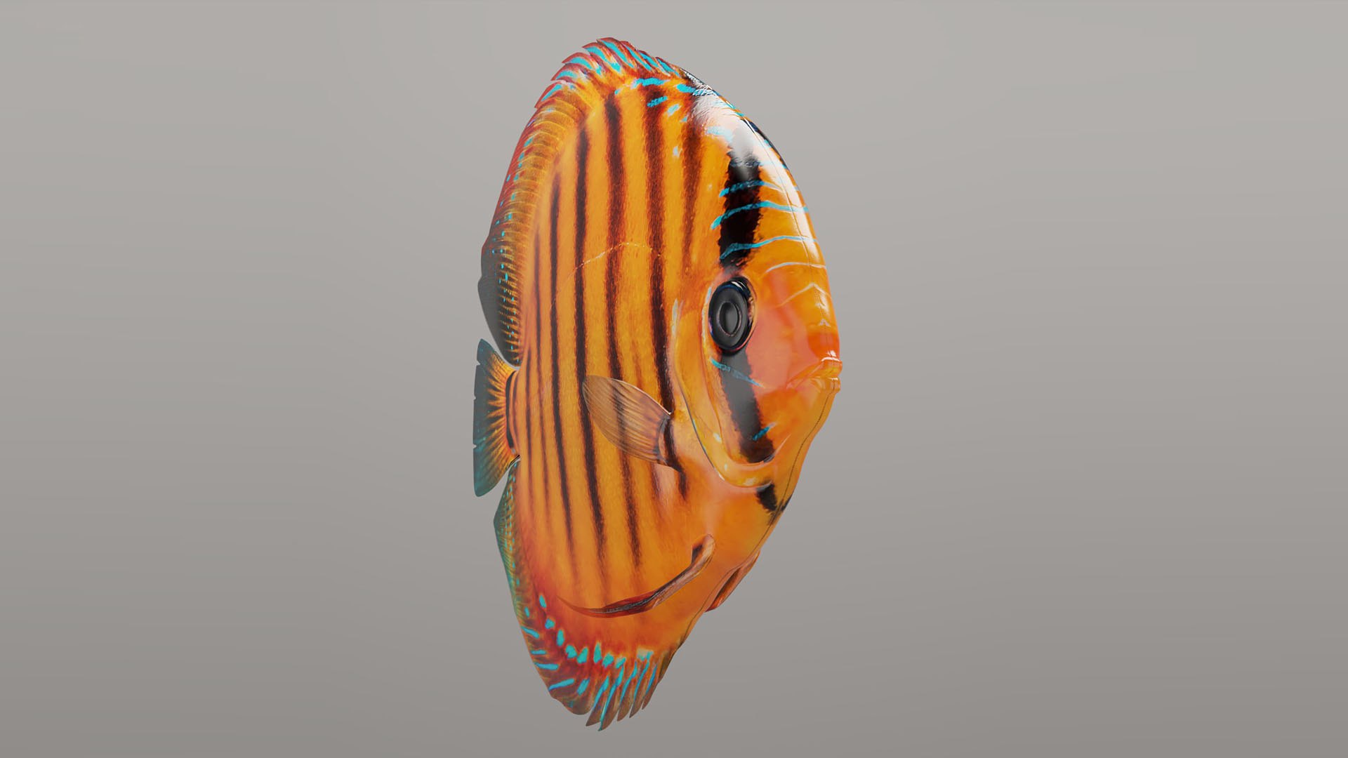 Discus Fish Model - TurboSquid 1740649