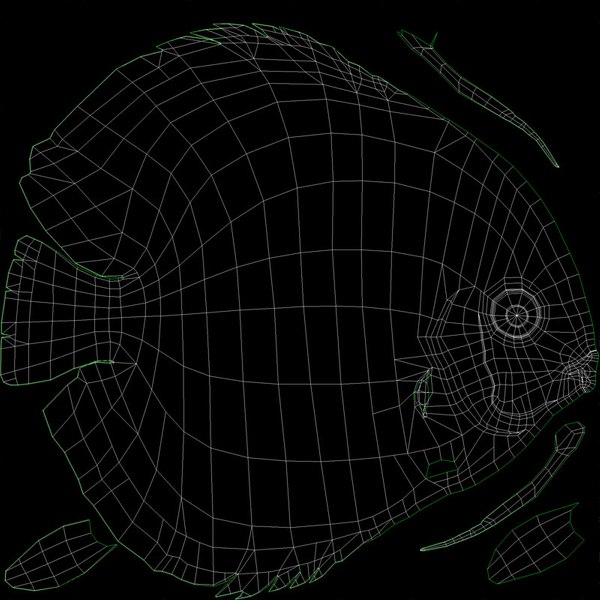 Discus fish model - TurboSquid 1740649