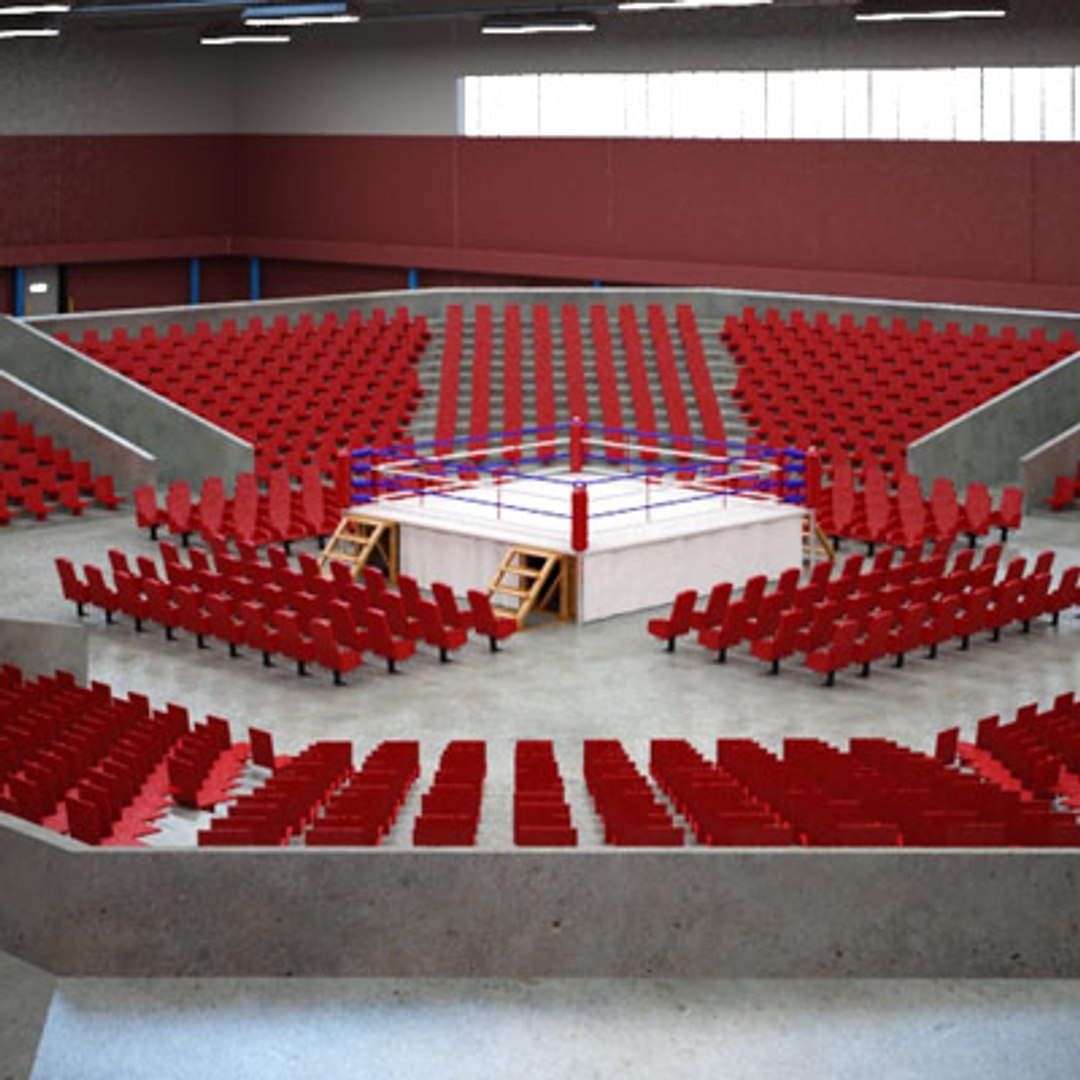 3d Boxing Arena Large Model
