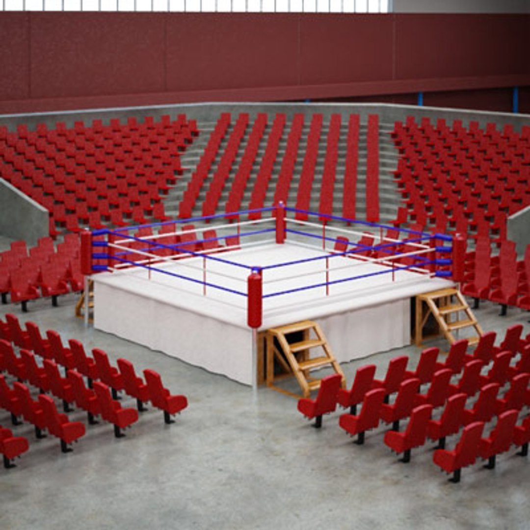 3d Boxing Arena Large Model