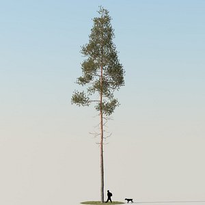 3ds max realistic pine tree