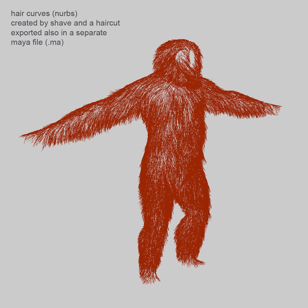 chimp fur 3d ma