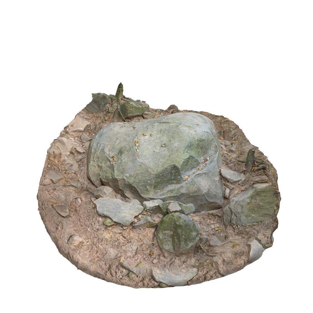 Jungle Rock Ground 8k 3d Obj