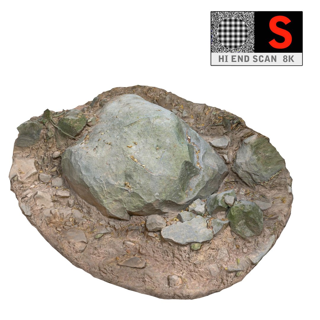 Jungle Rock Ground 8k 3d Obj
