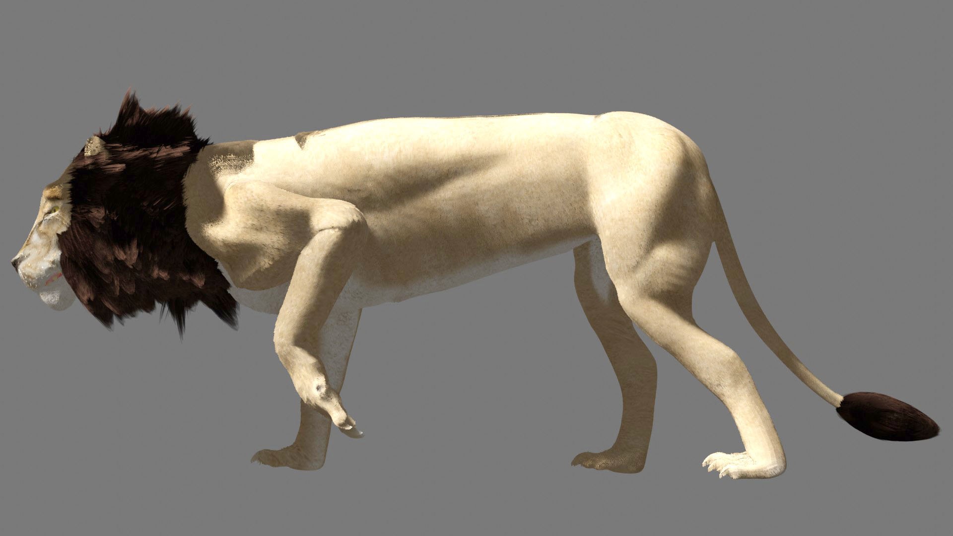 Lion With Basic Rigged 3D Model - TurboSquid 1763294