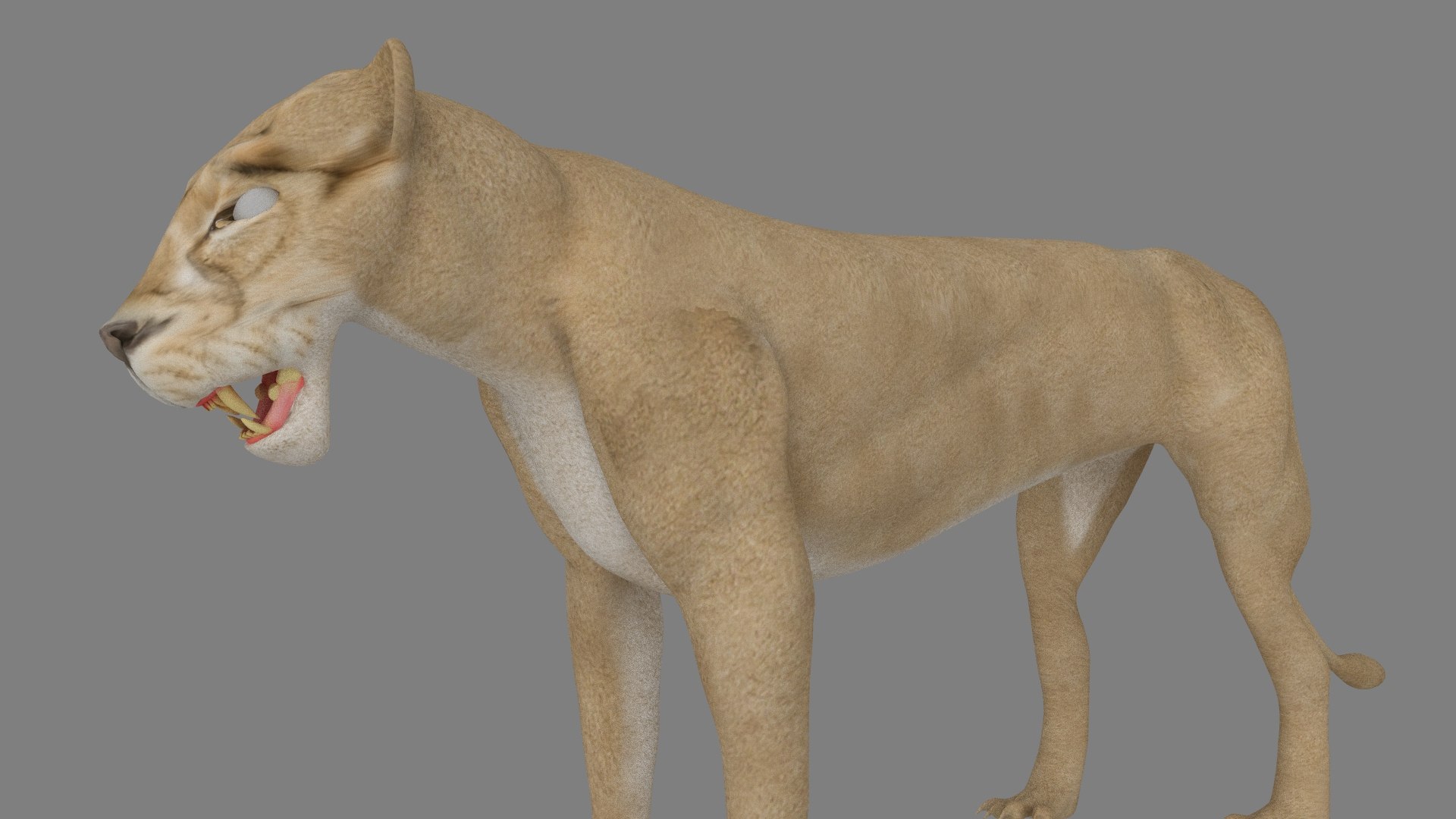 Lion With Basic Rigged 3D Model - TurboSquid 1763294